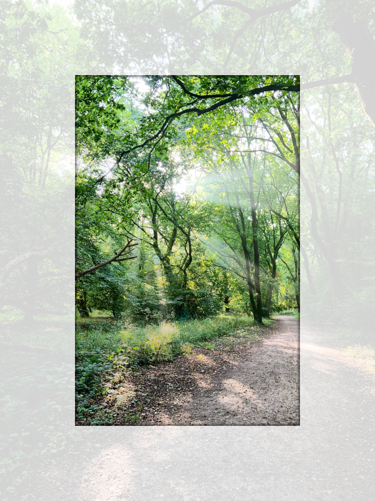Early Morning Magic – Somewhat Patchy
