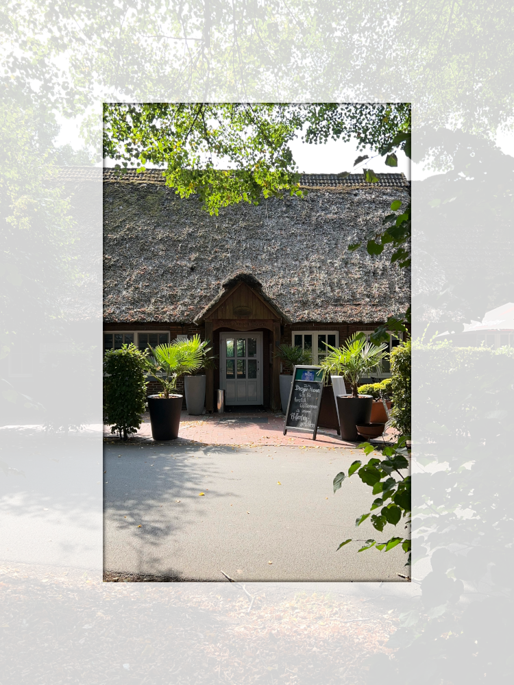 The Dry Rabbit – Somewhat Patchy